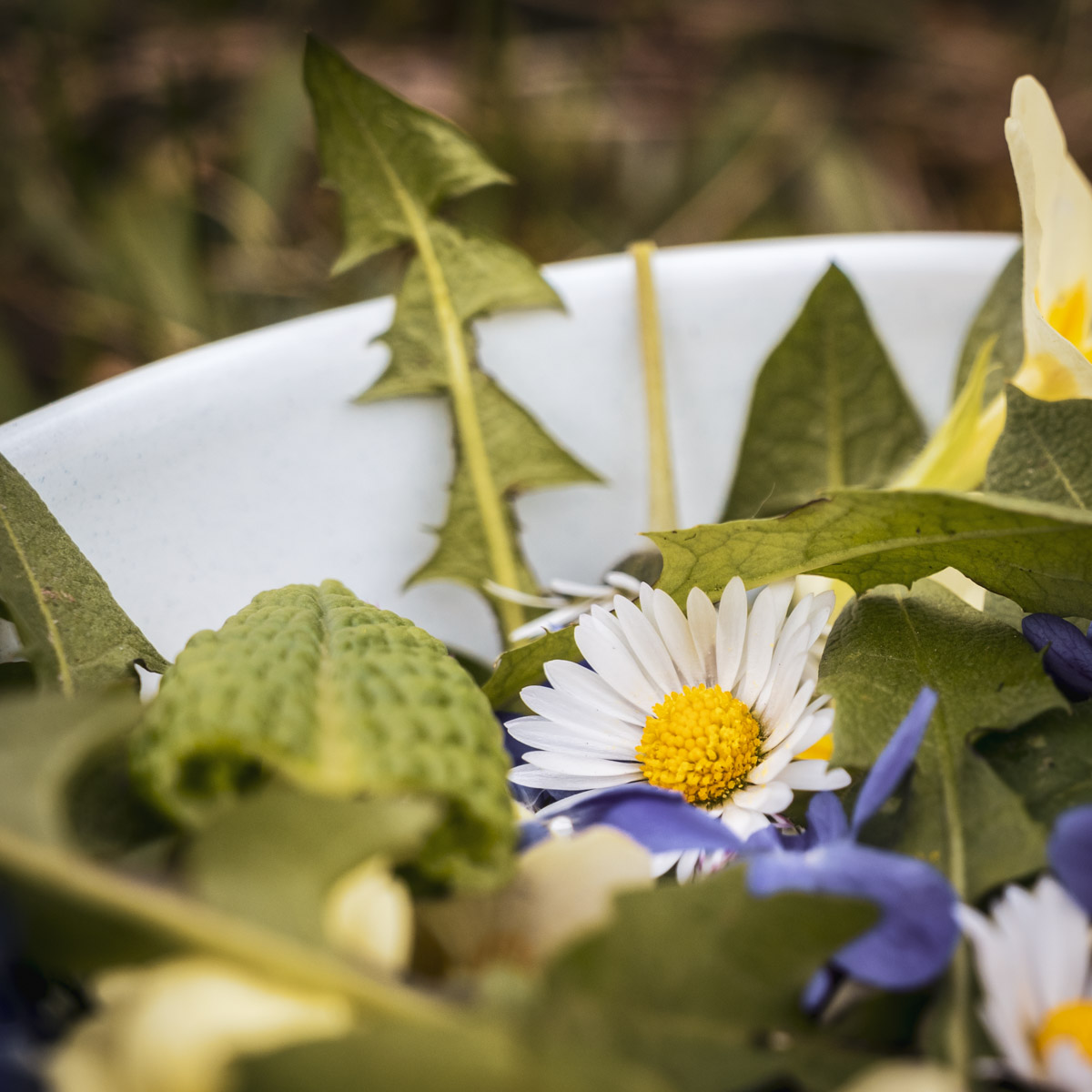 Spomladanske solate kot osvežilna in hranljiva izbira za pisan obrok ...